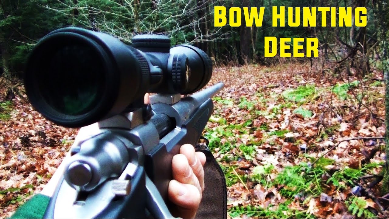 Bow hunting deer | deer drives 2017 | latest hunting video | First ...