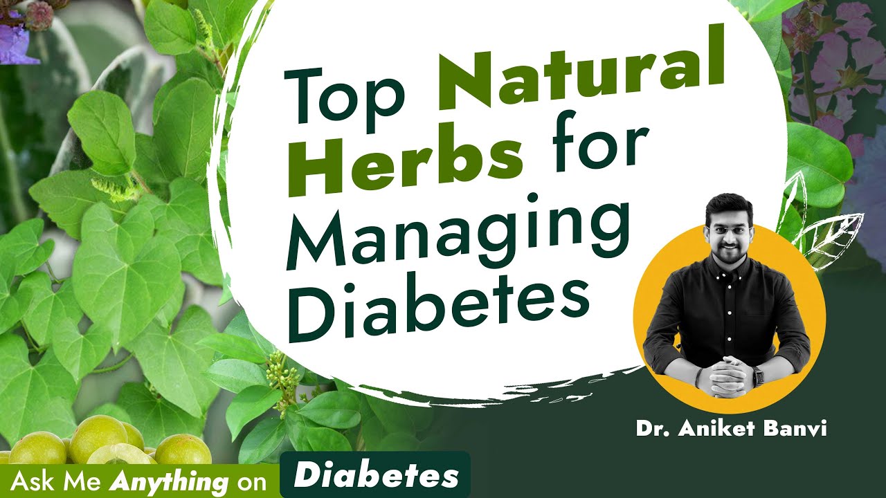 Ask Me Anything On Diabetes| Discover The Best Anti Diabetic Herbs ...