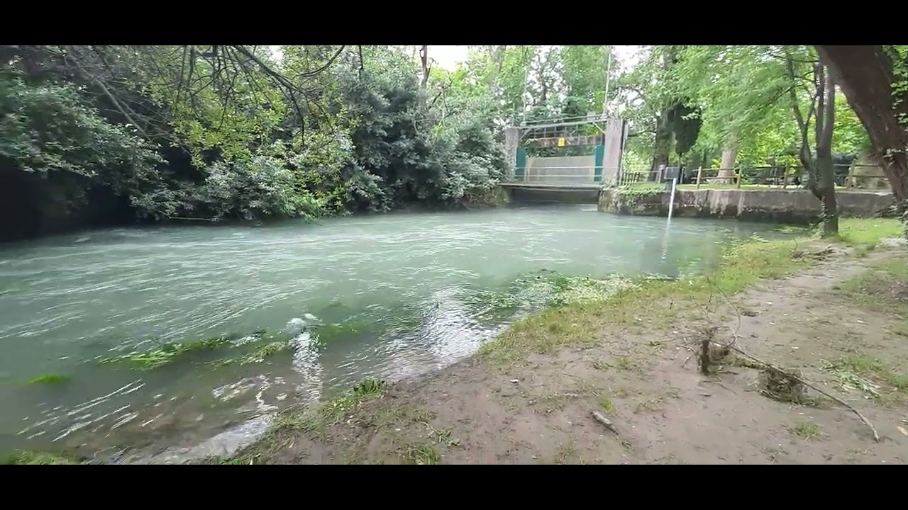 Risorgive Fiume Timavo a Duino Aurisina Trieste. - YouTube
