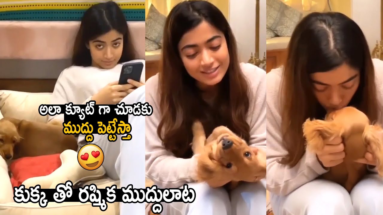 Rashmika Mandanna Kisses With Her Pet Dog | Rashmika Mandanna Latest ...
