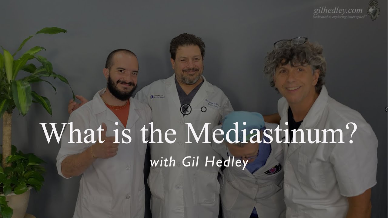 What is the Mediastinum? Learn Integral Anatomy with Gil Hedley - YouTube