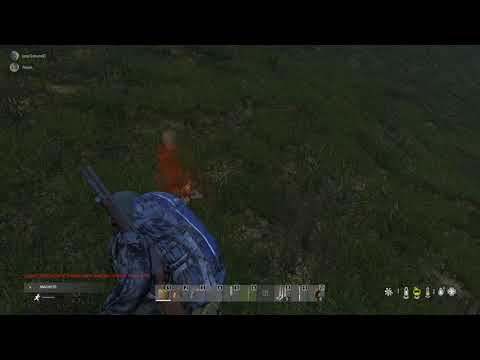 DayZ - matando galinha