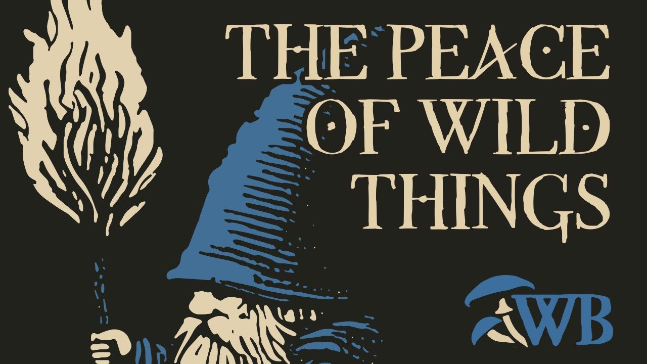 Witch Bolt - The Peace of Wild Things - Wayseer Arrangement [Dungeon Synth, Comfy Synth, Non-AI ...