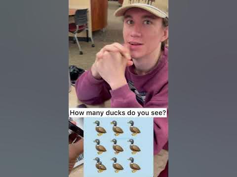 How many ducks do you see? - YouTube