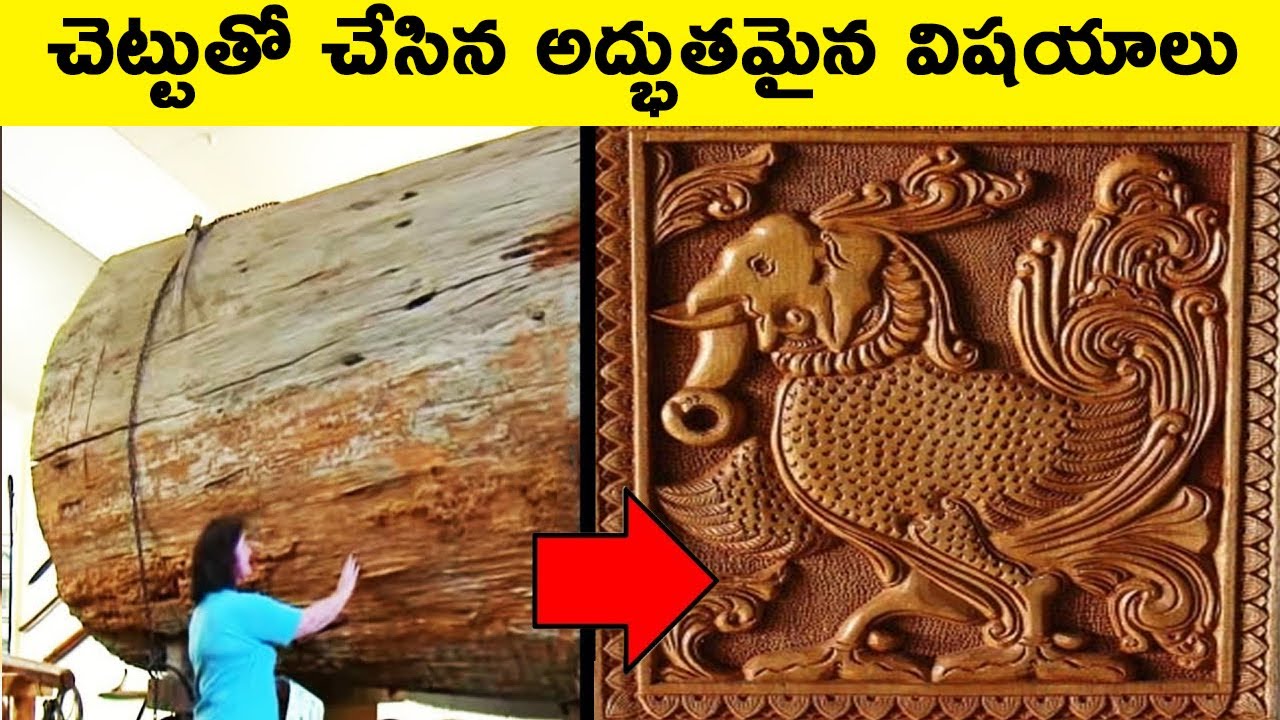 Superb Things Made with Tree || T Talks - YouTube