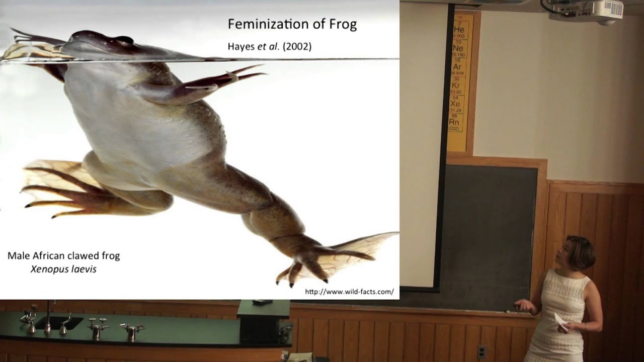 Jamie Innis - Senior Research Symposium 2013 - Biology - YouTube
