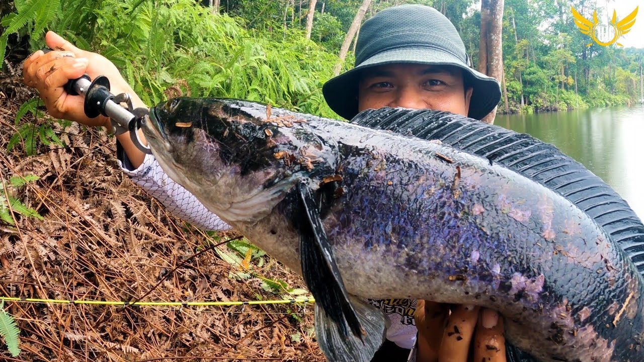 NYATA ADA NYA, TERNYATA BAJU MANCING YANG BARU DI BELI MEMBAWA ...