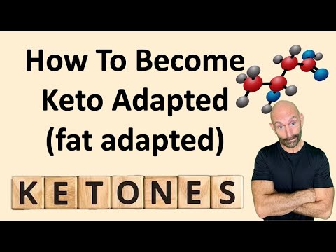 How To Become Keto Adapted (fat adapted) #ketoadapted #fatadapted - YouTube
