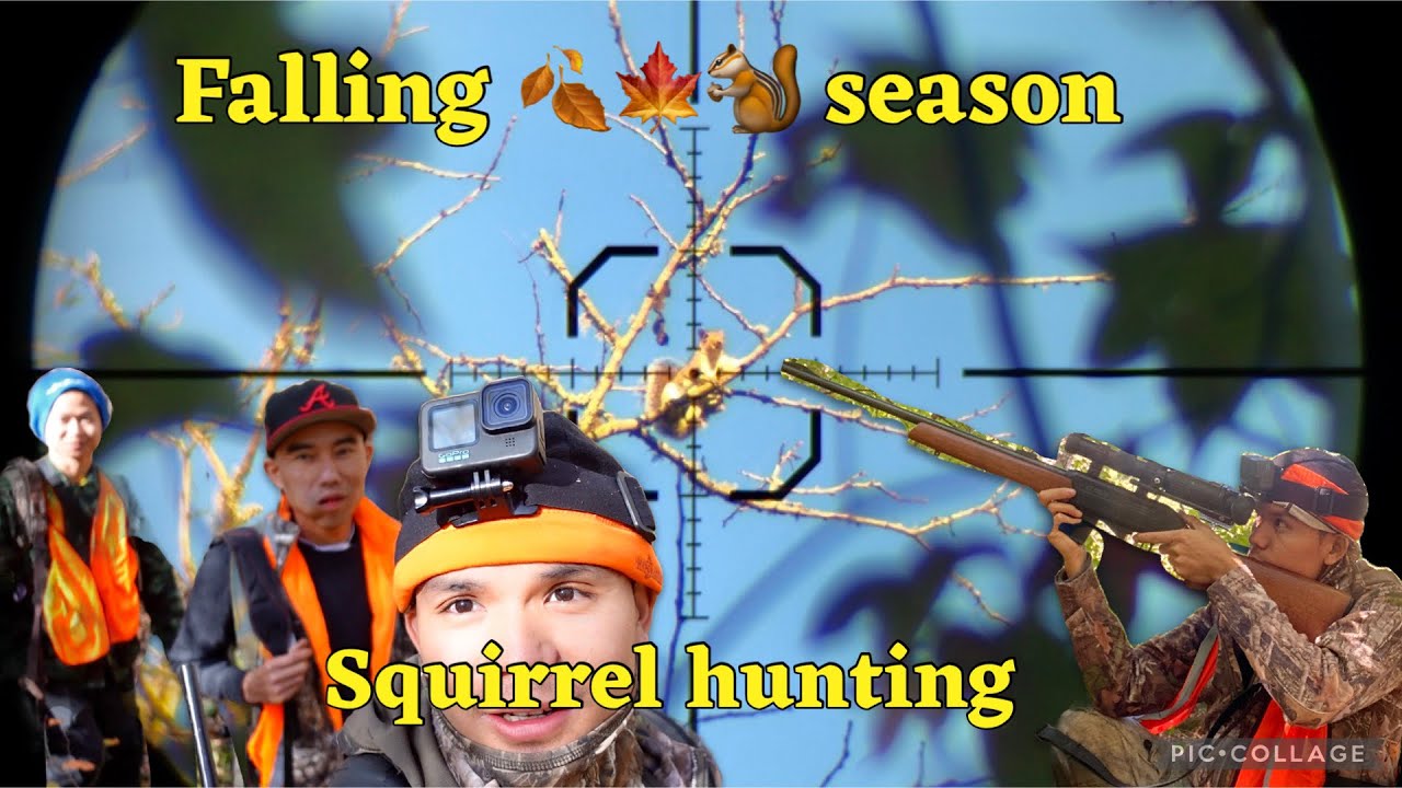 GA squirrel 🐿️ hunting || Falling season 🍂🍁 - YouTube
