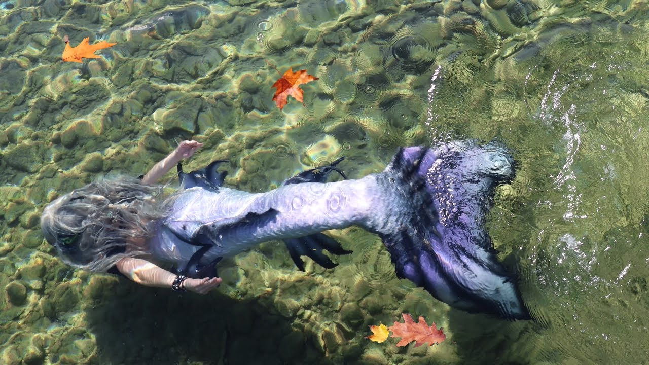 Mermaid Swims in October Colors 🍁 Relaxing video of a mermaid swimming ...