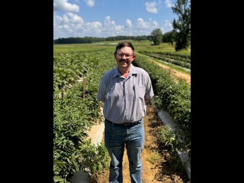 Mike's Produce: A Day at the Farm - YouTube