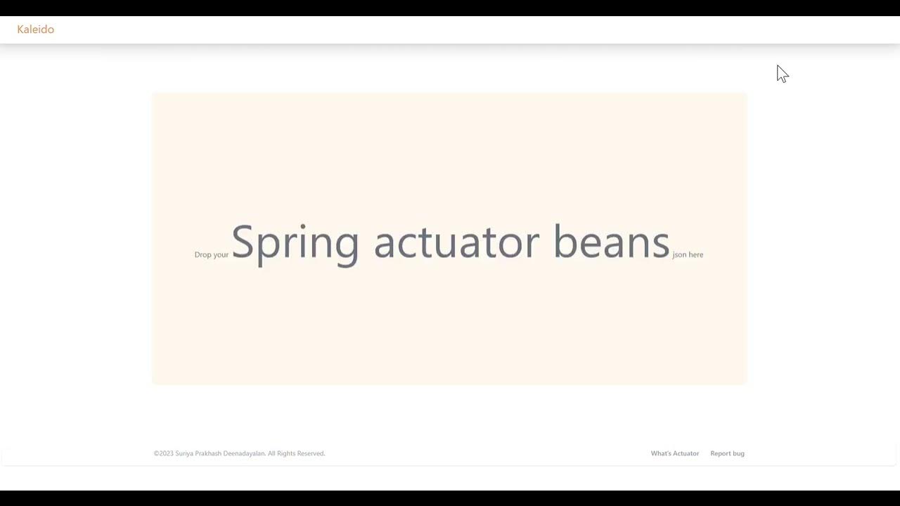 Kaleido - A spring bean visualizer - YouTube