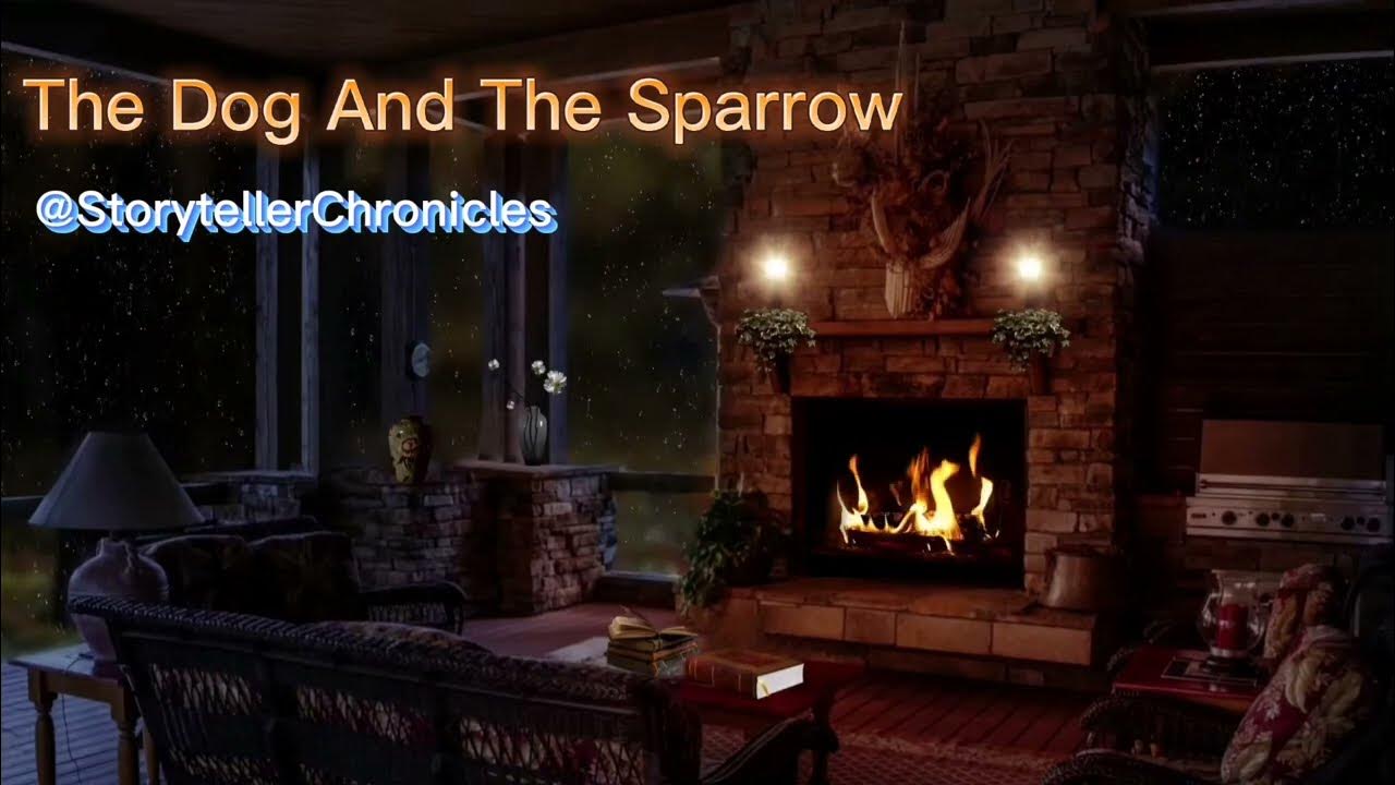 The Dog and the Sparrow 🐶🐦 A Classic Fairy Tale from Grimm's Fairy ...