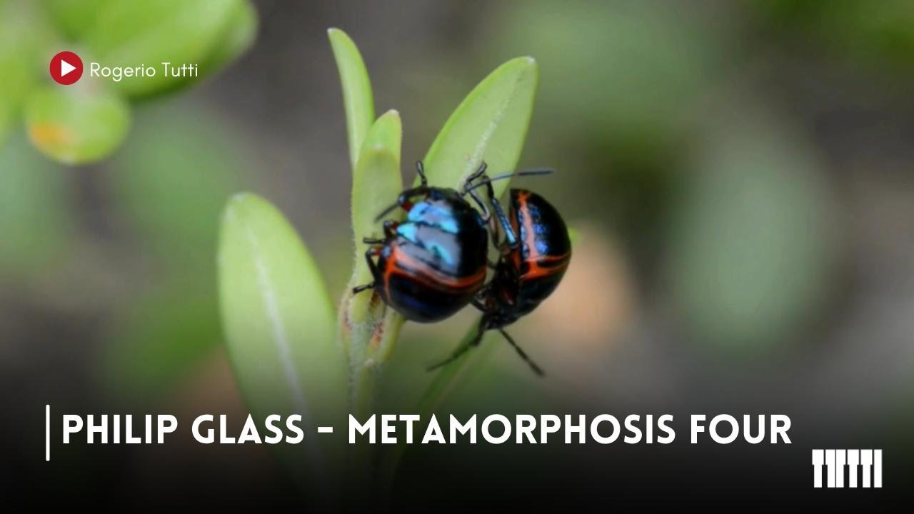 Philip Glass - Metamorphosis Four by Rogerio Tutti - YouTube