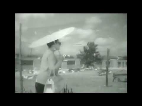 Ulduz filmi - möhtəşəm səhnə