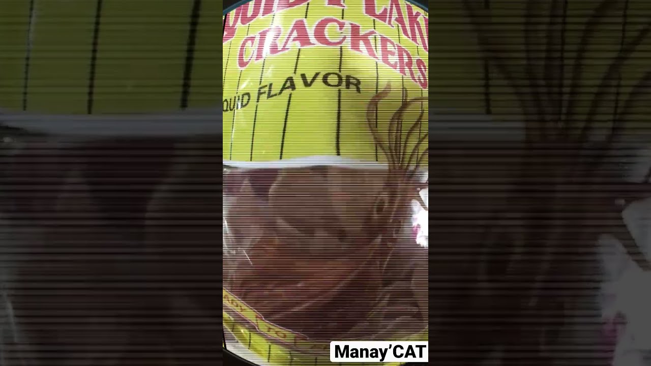 Squid flakes Crackers - YouTube