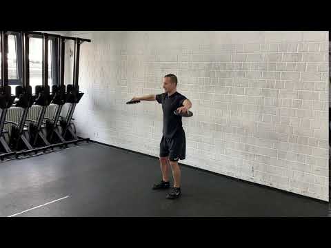2-Plate Standing Lateral Raise