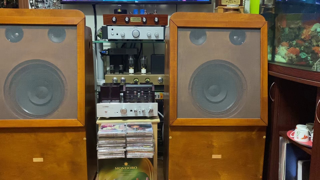 Triode TRX PM84 & Electro Voice SP12B - YouTube