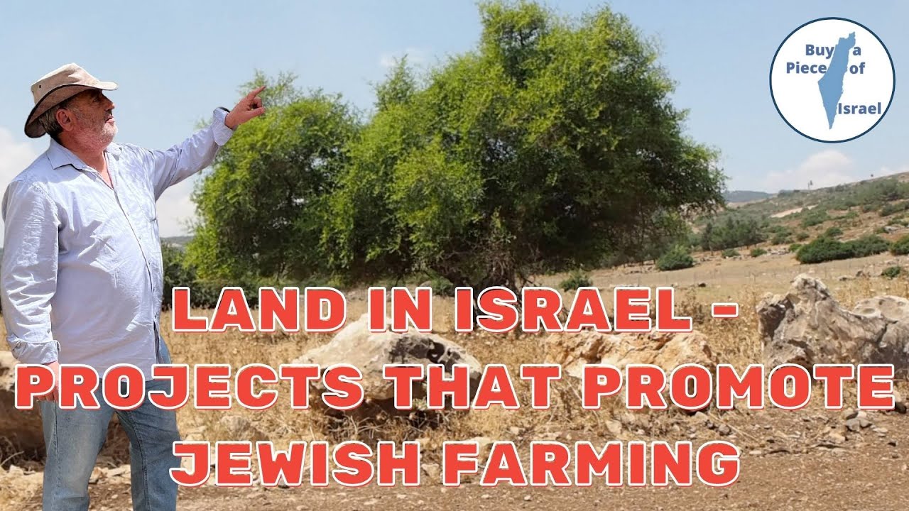 Land in Israel - Projects that promote Jewish farming - YouTube