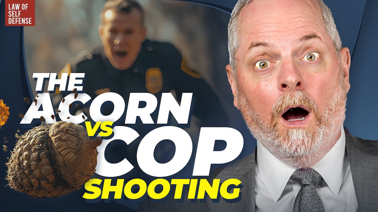 Police Officer PEW AT UNARMED SUSPECT After Mistaking ACORN FALLING For ...