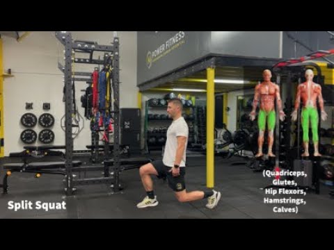 Split Squat - YouTube