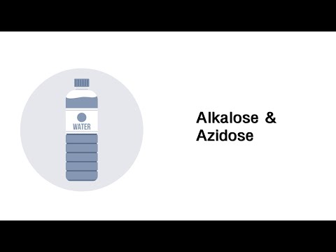 Alkalose & Azidose - Störungen des Säure-Basen-Haushalts