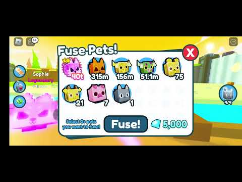 Pet Simulator X Gameplay Spawn World - YouTube