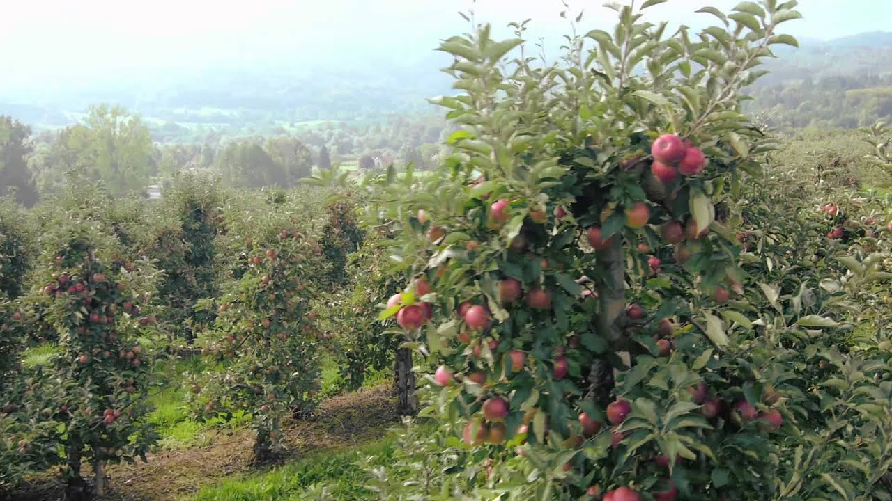 Goëmar - Progressons en Bioperformance - YouTube