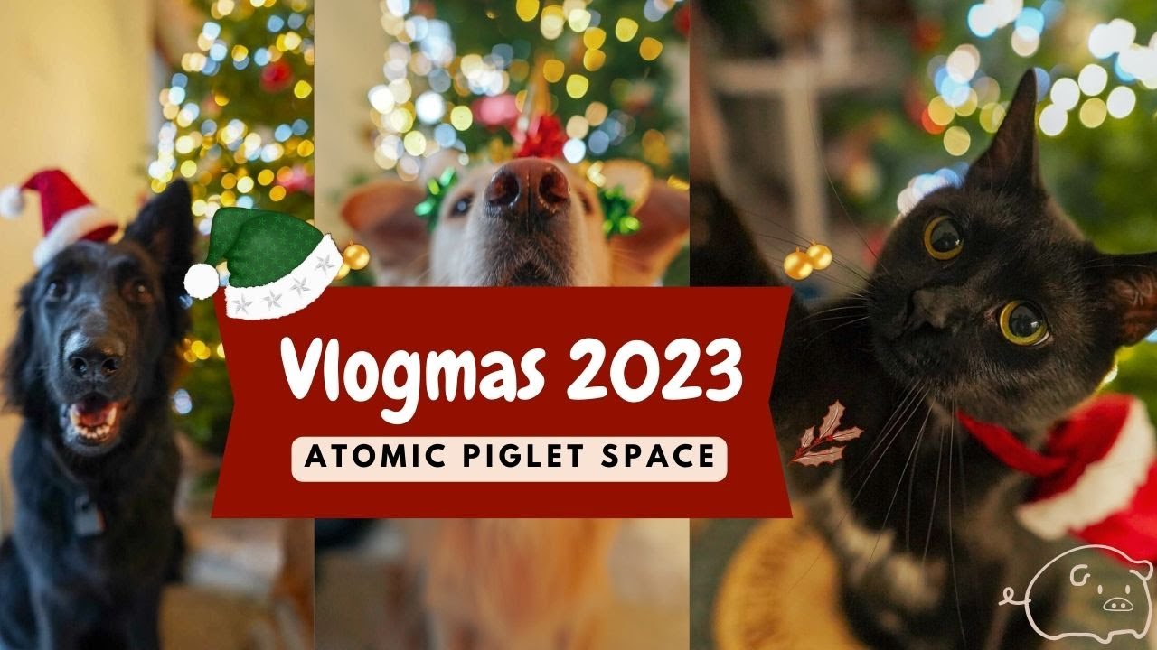 Vlogmas 2023 urywki z calego tygodnia - YouTube