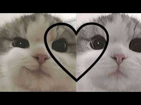 Güzin ile Baha -Gençlik Başımda Duman (Speedup)