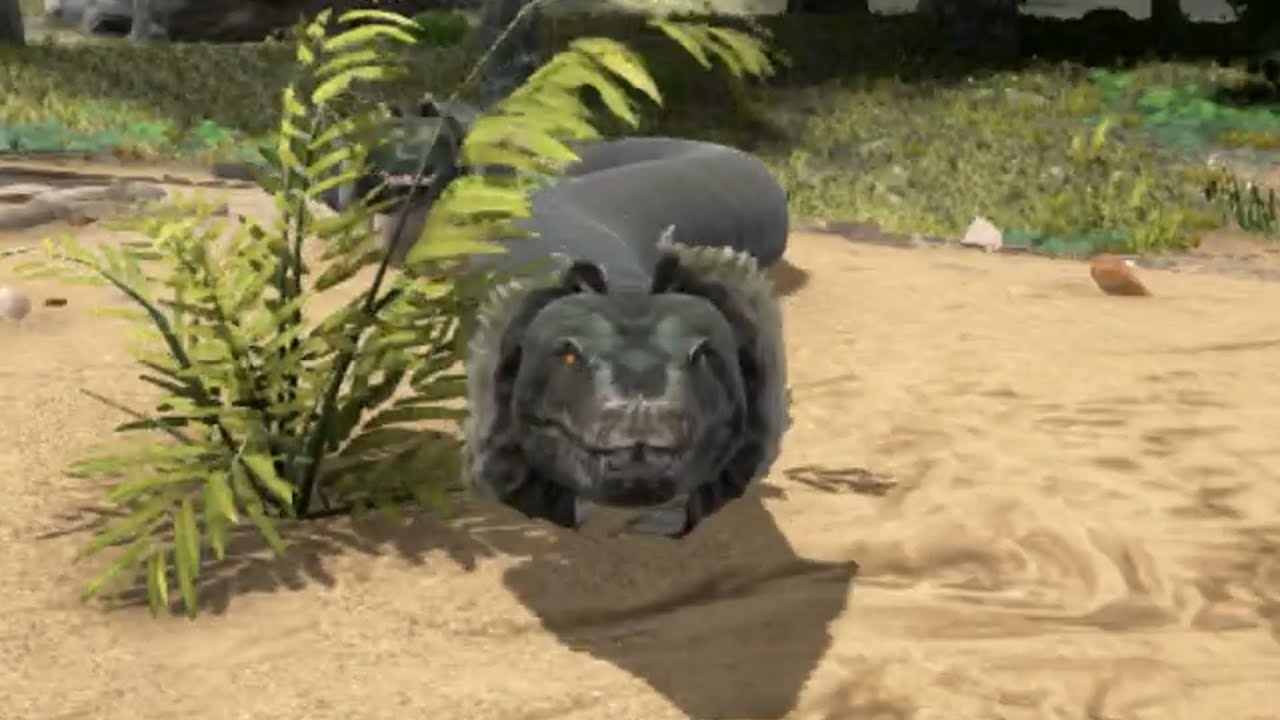 CONSTANT DOOM!-ARK: Survival Evolved #1 - YouTube