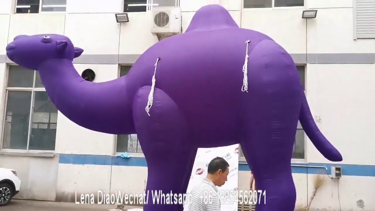 Inflatable Camel For Advertising Stage Decoration - YouTube