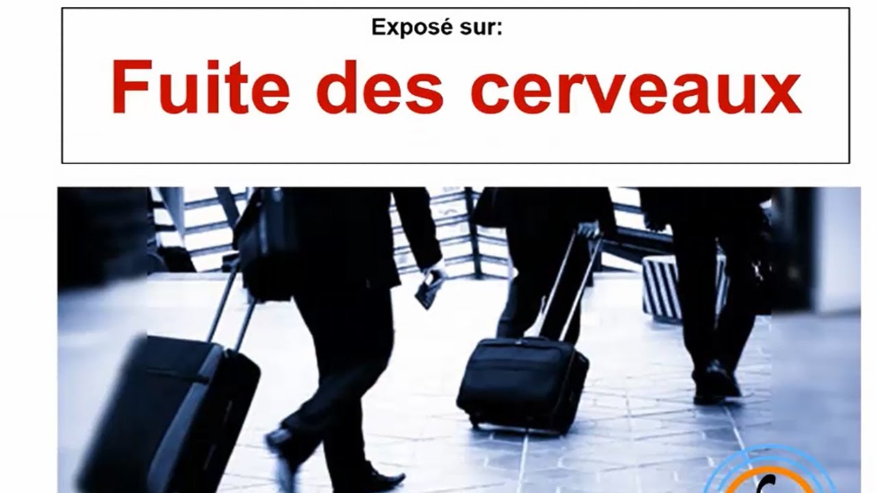 Exposé sur fuite des cerveaux - YouTube