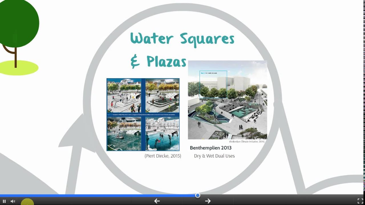 15146 S15 A1 Panton Jameson Casestudy Rotterdam Group1 RisingSeaLevels ...