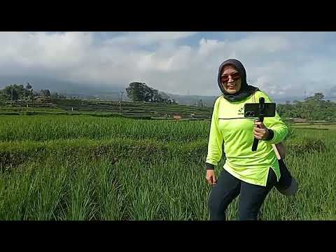 Perjalanan Janda Hari Ini Arah Selatan Kmp : Waas Garut. - YouTube