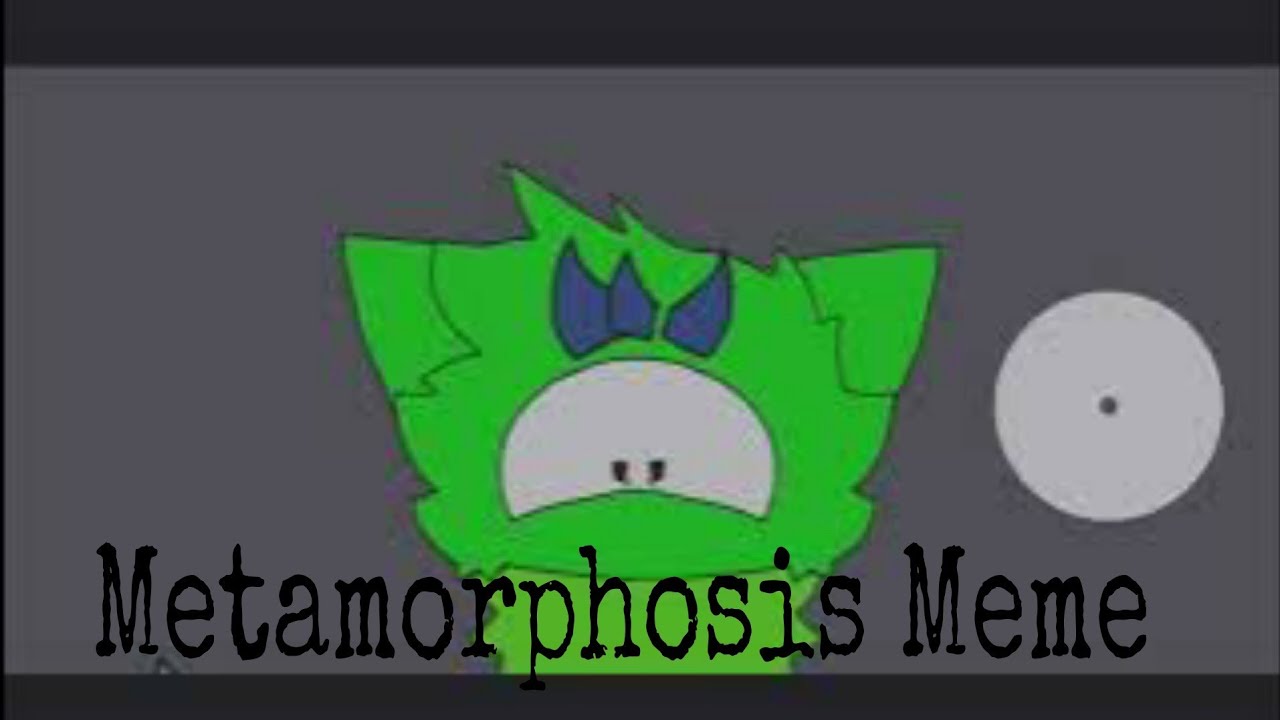 metamorphosis meme || Gift For @Flipvicshorts - YouTube