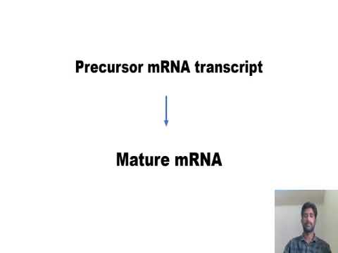 POST TRANSCRIPTIONAL MODIFICATION OF mRNA - YouTube