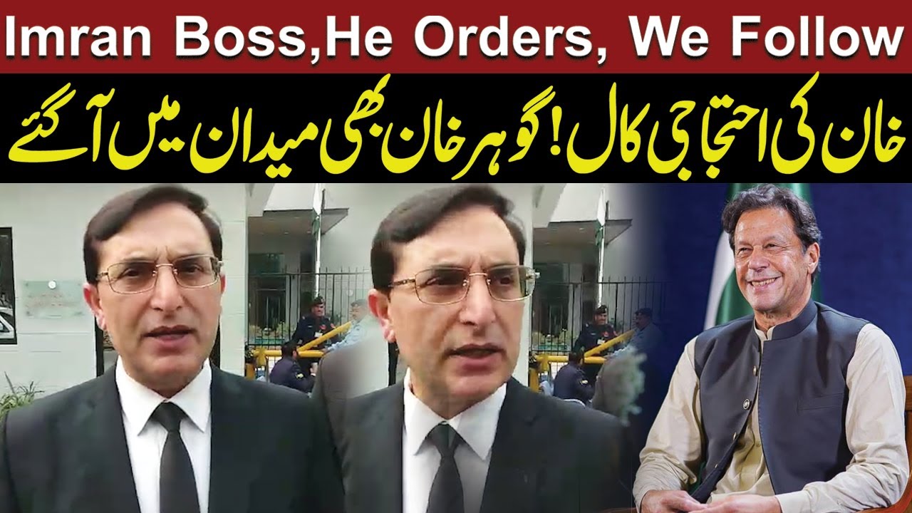 Imran Boss, He Orders, We Follow | Gohar Khan Ready For Protest After ...