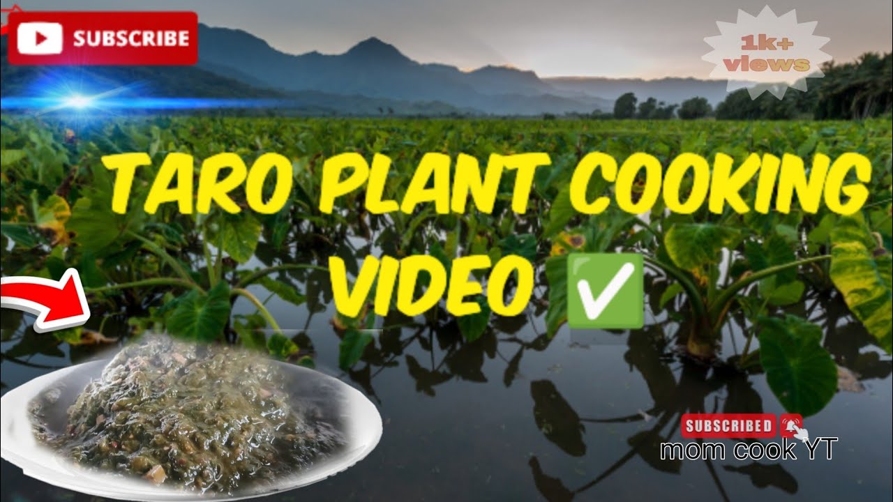 😀New || TARO PLANT || COOKIES VIDEO IN MOM COOK YT VIDEOS 👍👍 - YouTube
