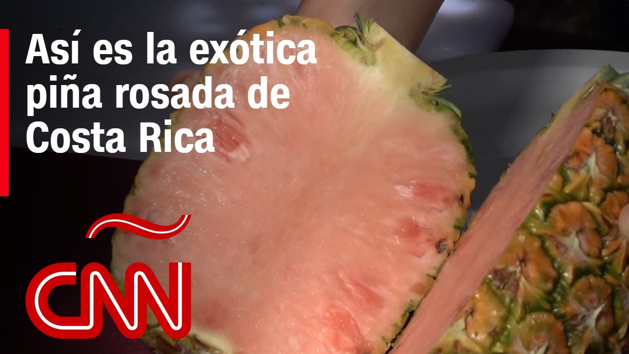 Así es la exótica piña rosada de Costa Rica - YouTube