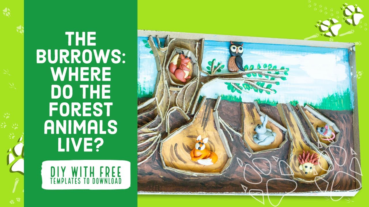The burrows: Where do the forest animals live? Best educational DIY ...