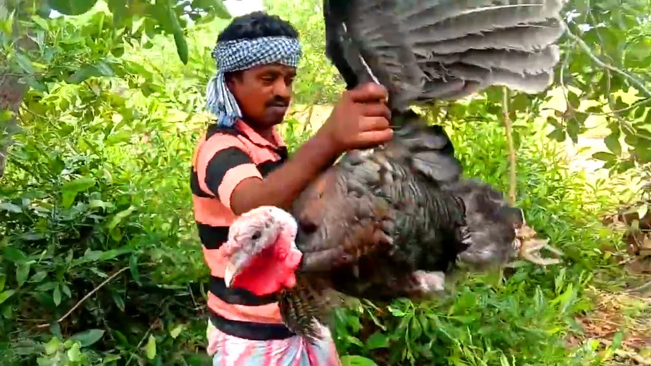 REAL VILLAGE FULL TURKEY ROAST COOKED IN NATURE! Village life - YouTube