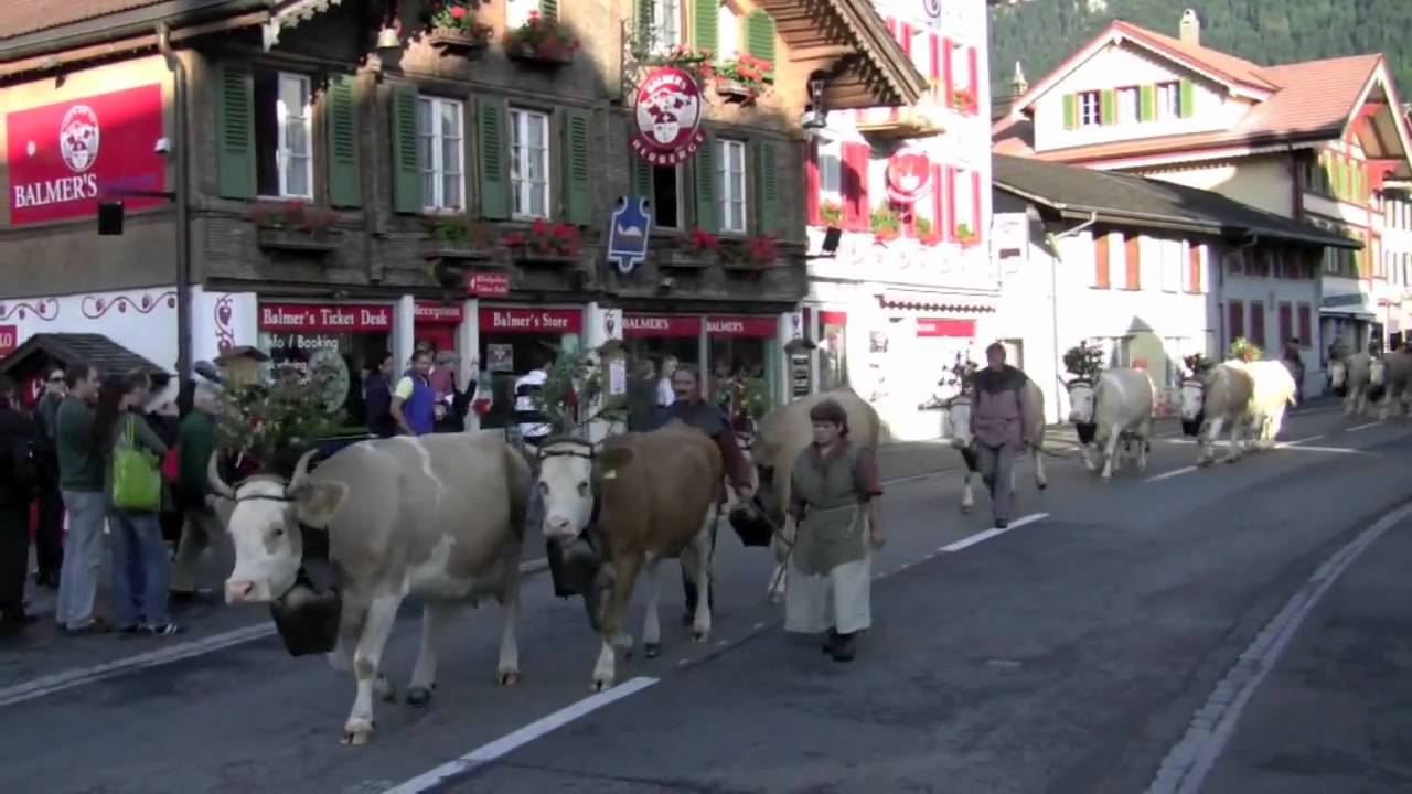Matten Cow Parade, Interlaken, Switzerland, July 15, 2009 - YouTube