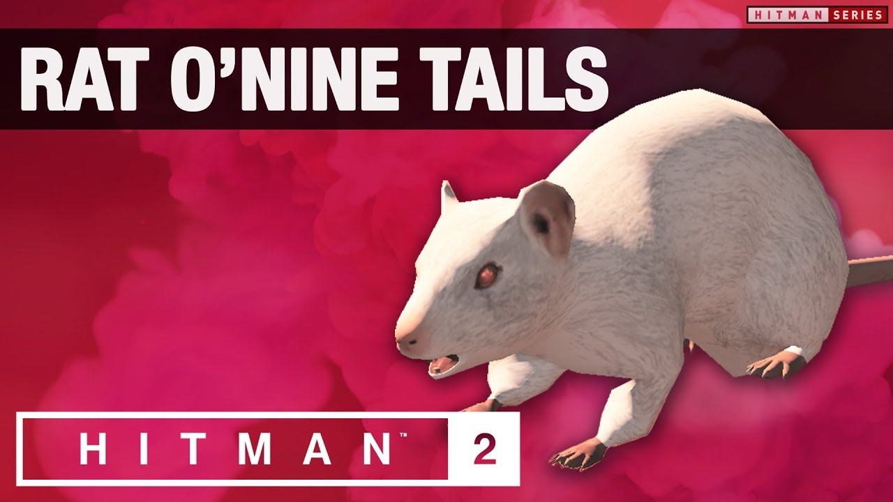 HITMAN 2 Sniper Assassin - All Rat locations ("Rat O'Nine Tails ...