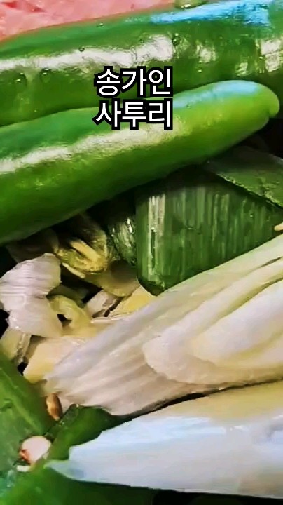 송가인 사투리 송가인사투리 부대찌게 Youtube