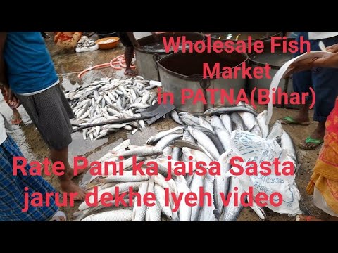 What is the price of Rohu fish in Bihar?wholesale Fish Market at Patna ...