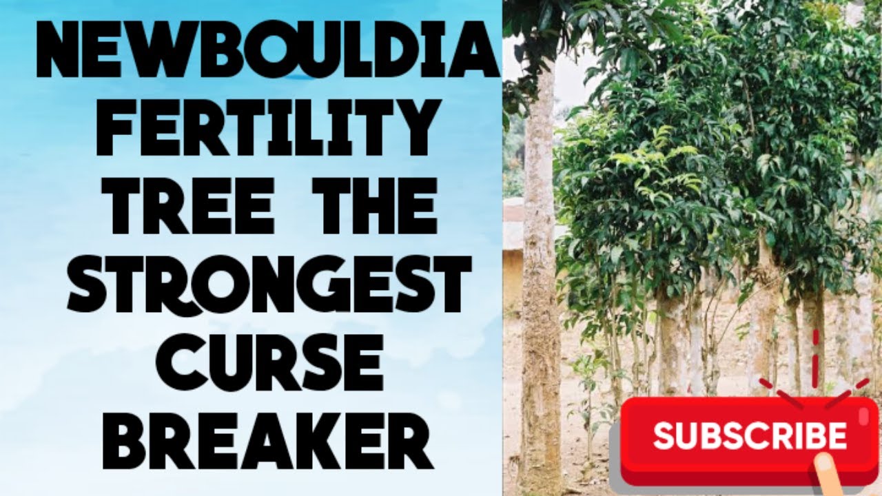 The Secret Power of all parts of Fertility Leave New Bouldia & How to ...