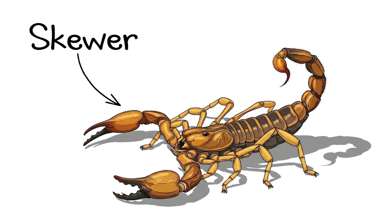 Why is it a TRAGEDY to be born as a Chinese Scorpion? - YouTube