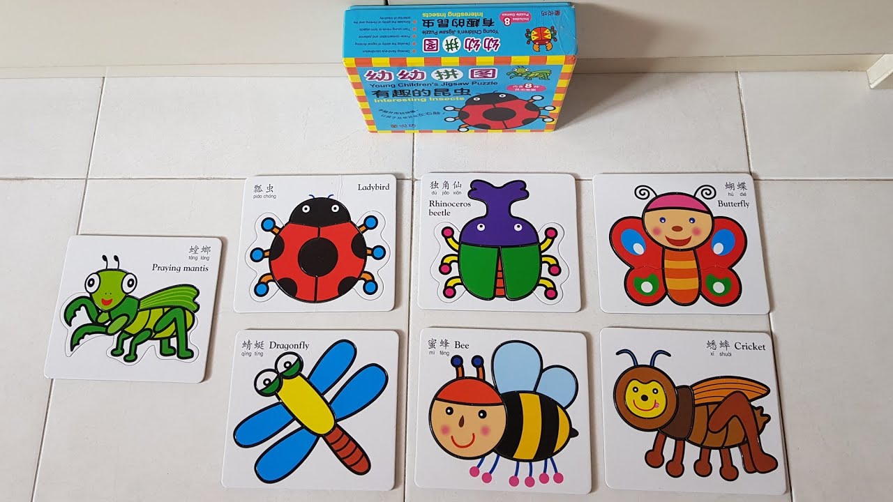 Young Children's Jigsaw Puzzle Interesting Insects - YouTube