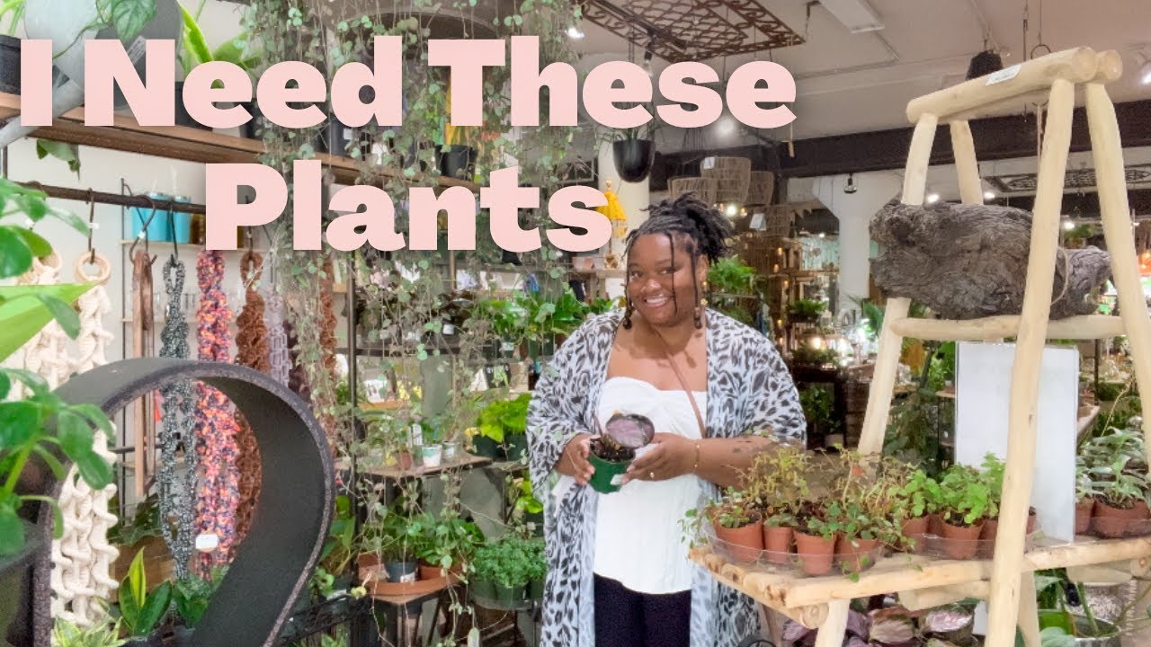 Plant Shopping!!💚 🪴 | HOUSEPLANT TOUR at Ruibals Plant Nursery in ...